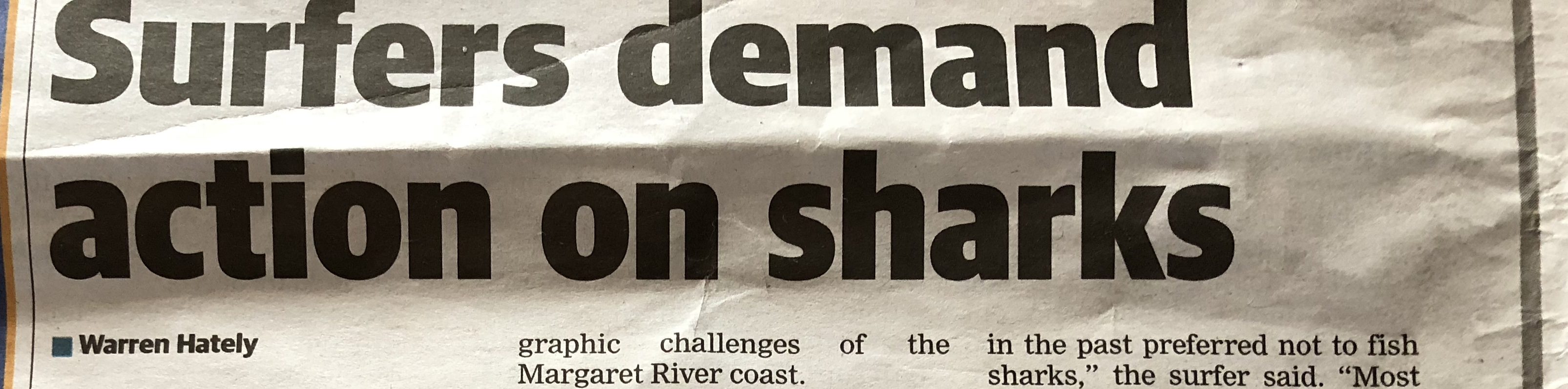 Story – PROJECT NOAH WA